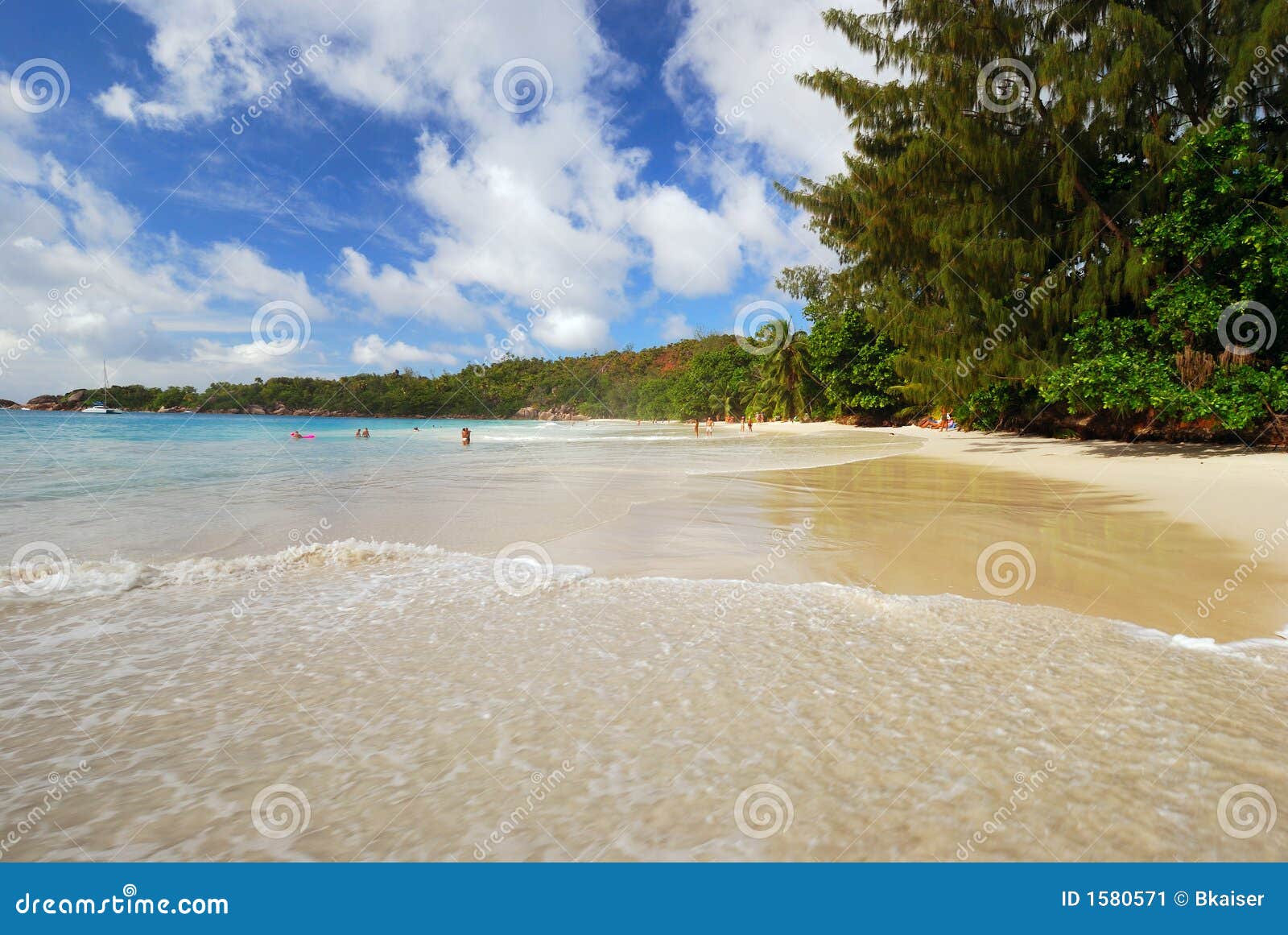 Water washing the beach stock image. Image of tree, indian - 1580571
