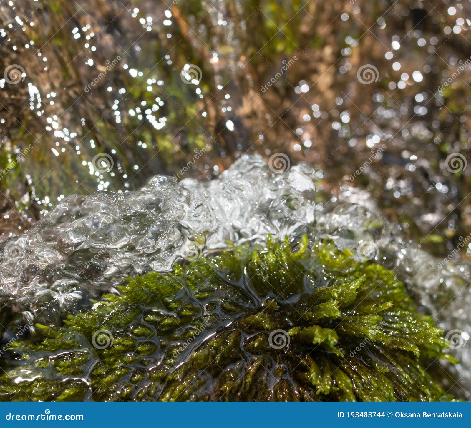 Water in a Waterfall with Algae Stock Photo - Image of algae, green ...
