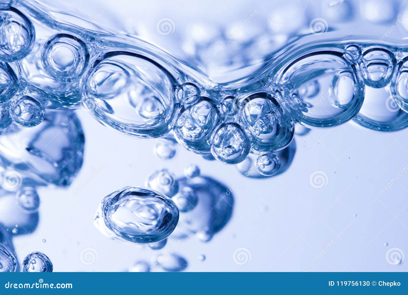 Through The Transparent Surface Of The Water, Silhouettes Of Several ...