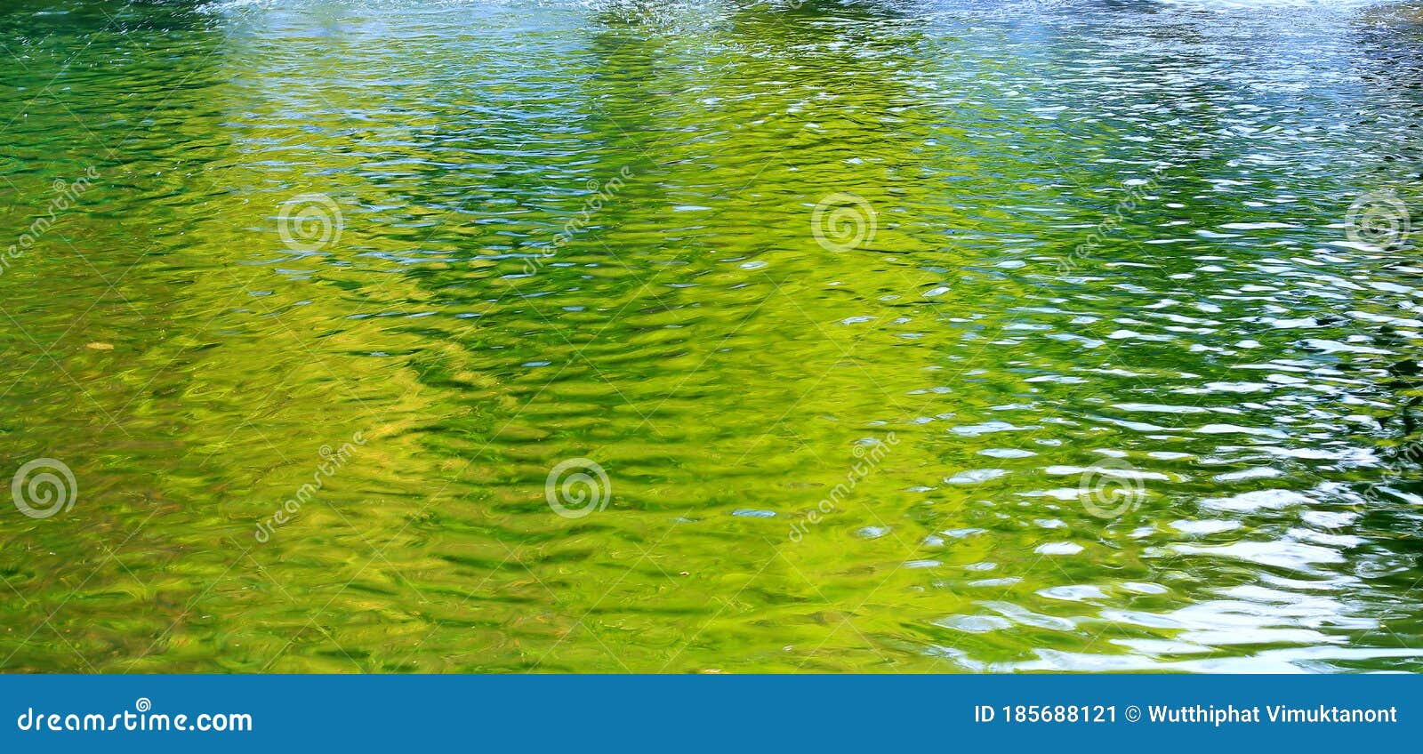 Green Water Wave in Nature Background Stock Image - Image of liquid ...
