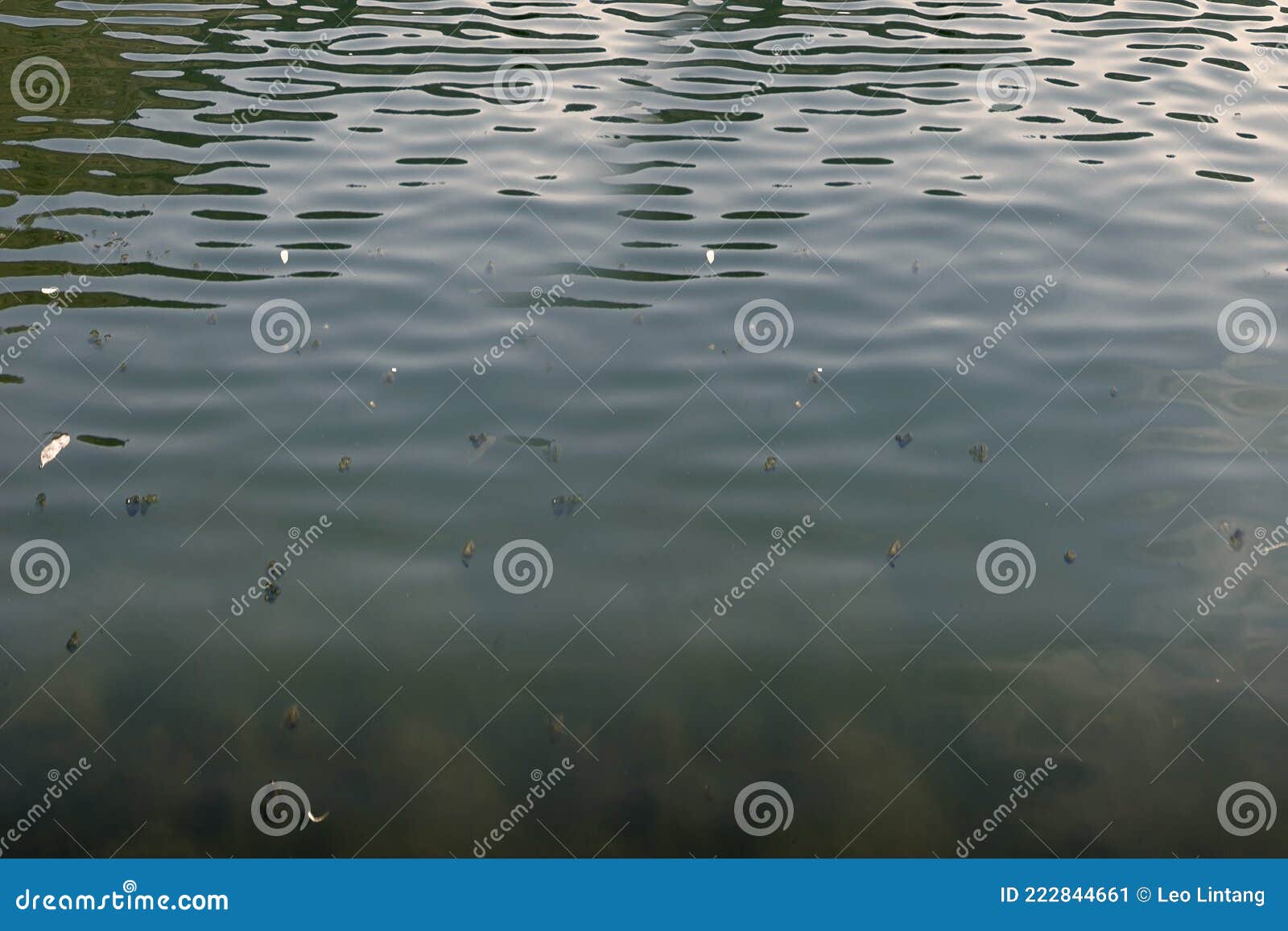 Water waves on the lake stock image. Image of relaxation - 222844661