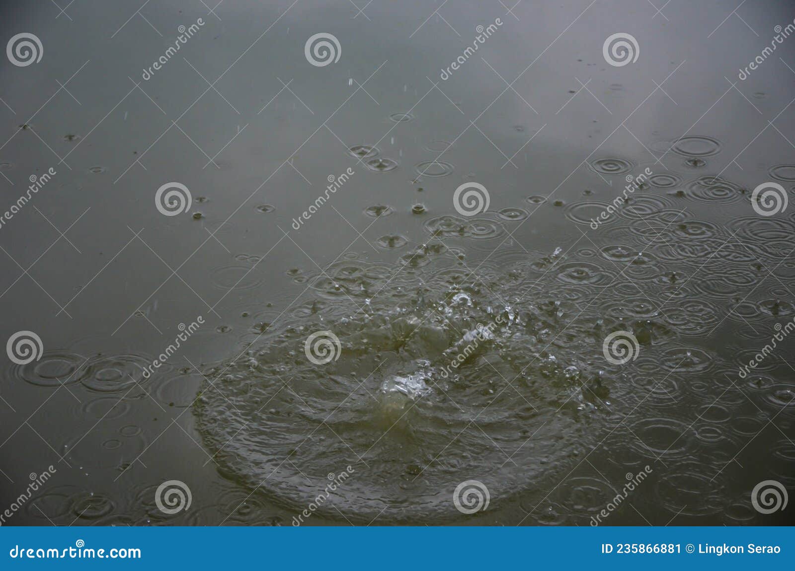 Water Waves or Water Splash and Water Drops Caused by Throwing of a ...