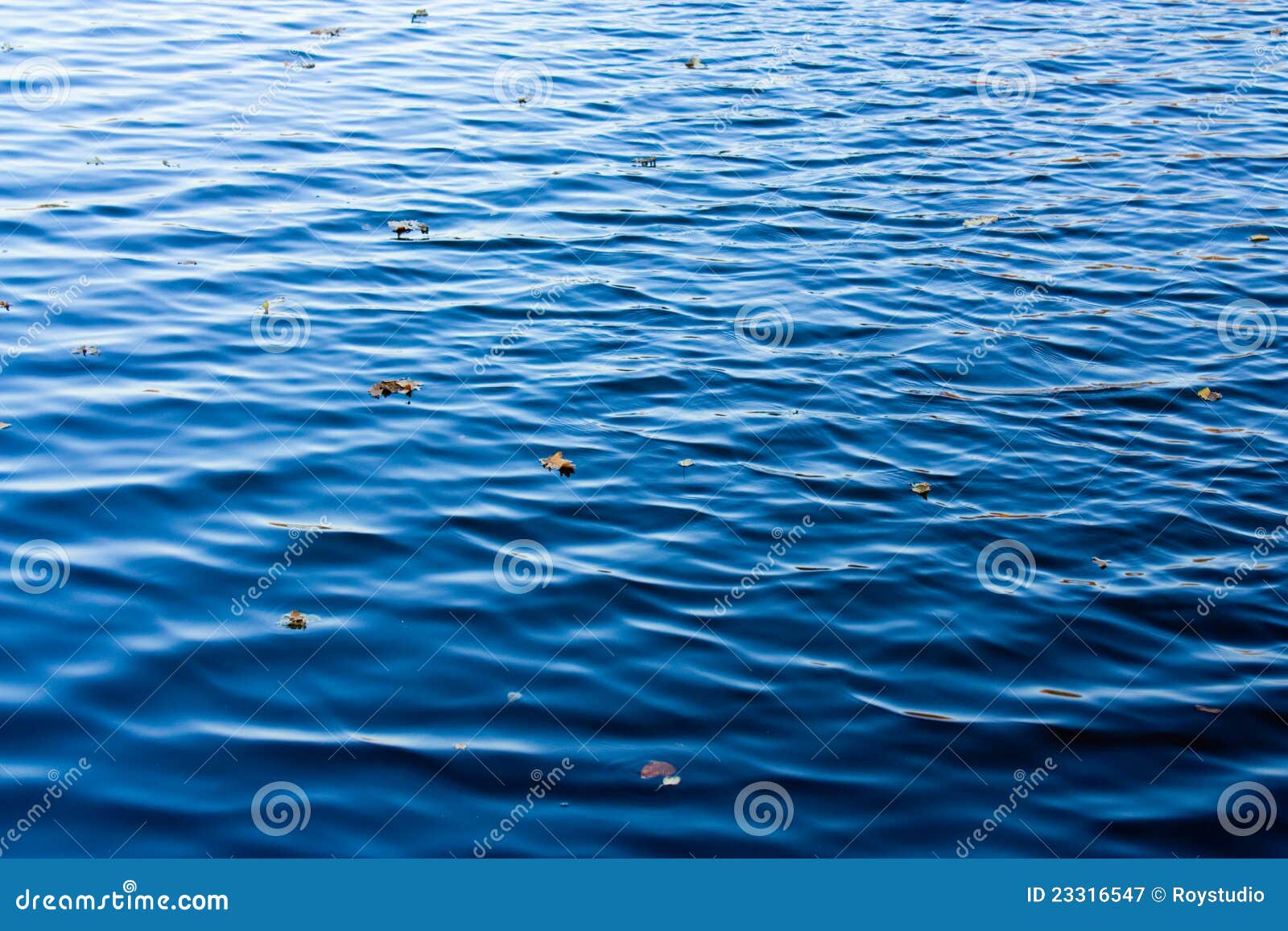 Waves On The Surface Of The Sea Water At Dusk With Compact, Solid And ...