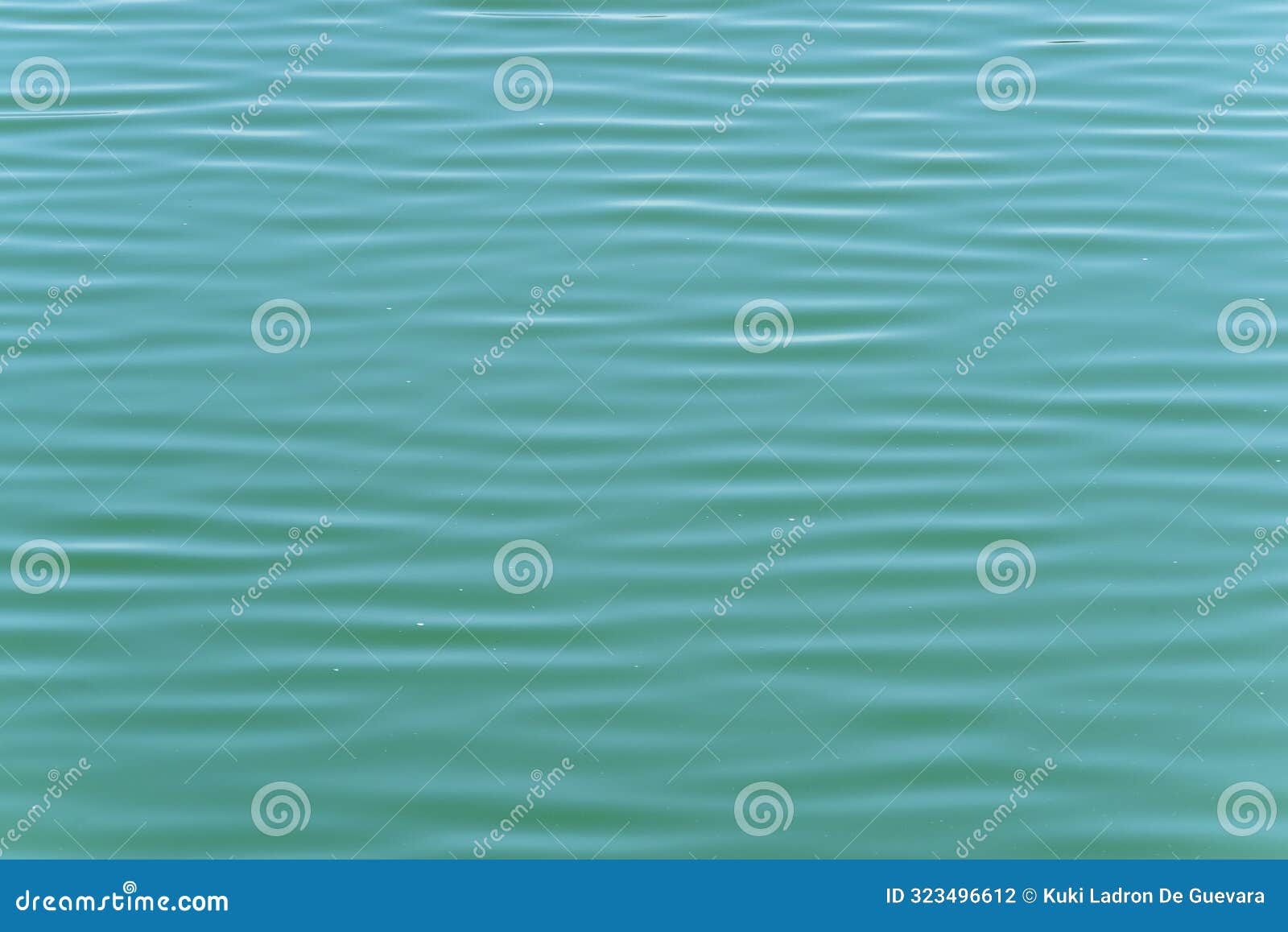 Water Waves on the Surface of a Lake Stock Photo - Image of summer ...