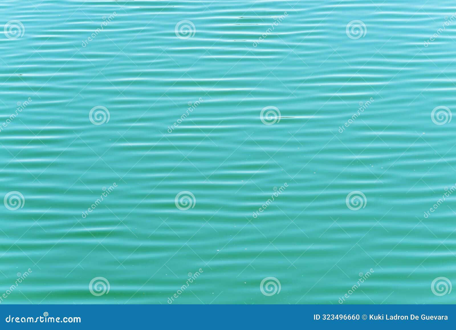 Water Waves on the Surface of a Lake Stock Photo - Image of nature ...