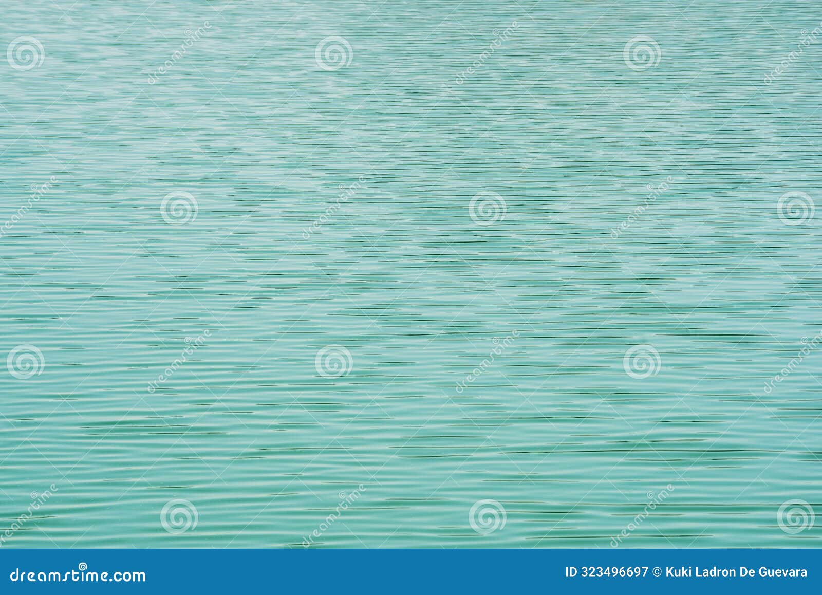 Water Waves on the Surface of a Lake Stock Image - Image of clear ...
