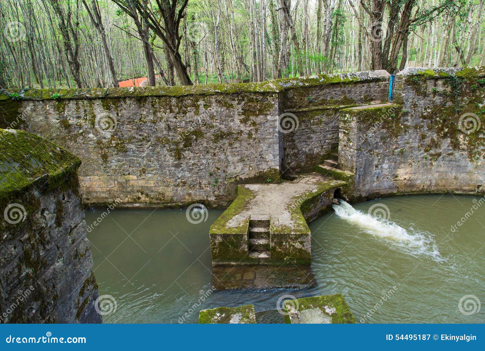 Water in Well in Forest stock image. Image of autumn - 54495187
