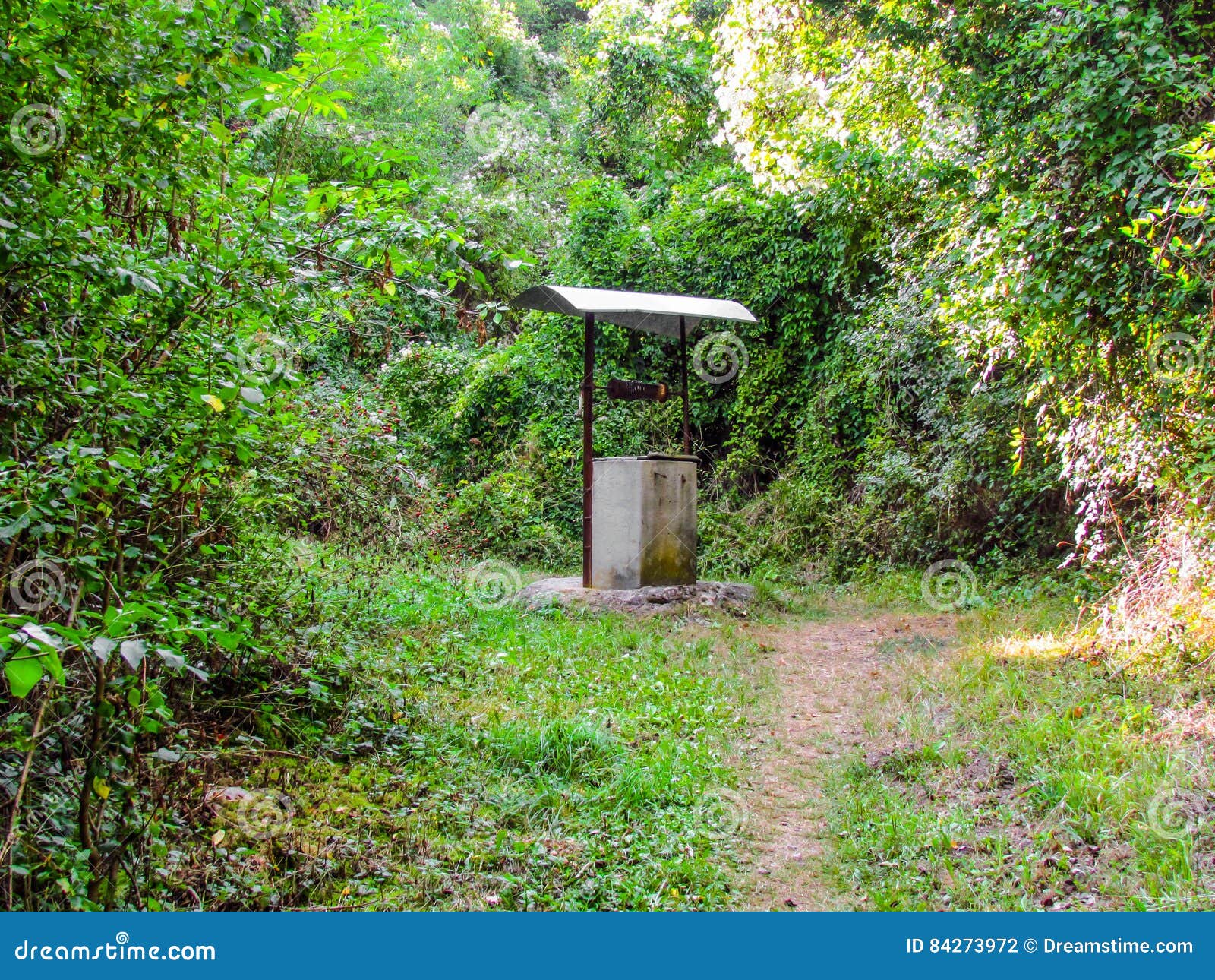 Water Well in the woods stock photo. Image of traditional - 84273972