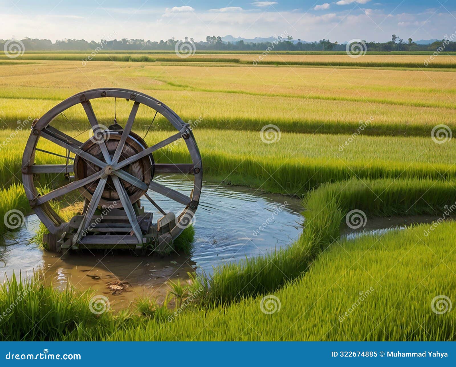 A Water Wheel on a Rice Field Stock Illustration - Illustration of ...