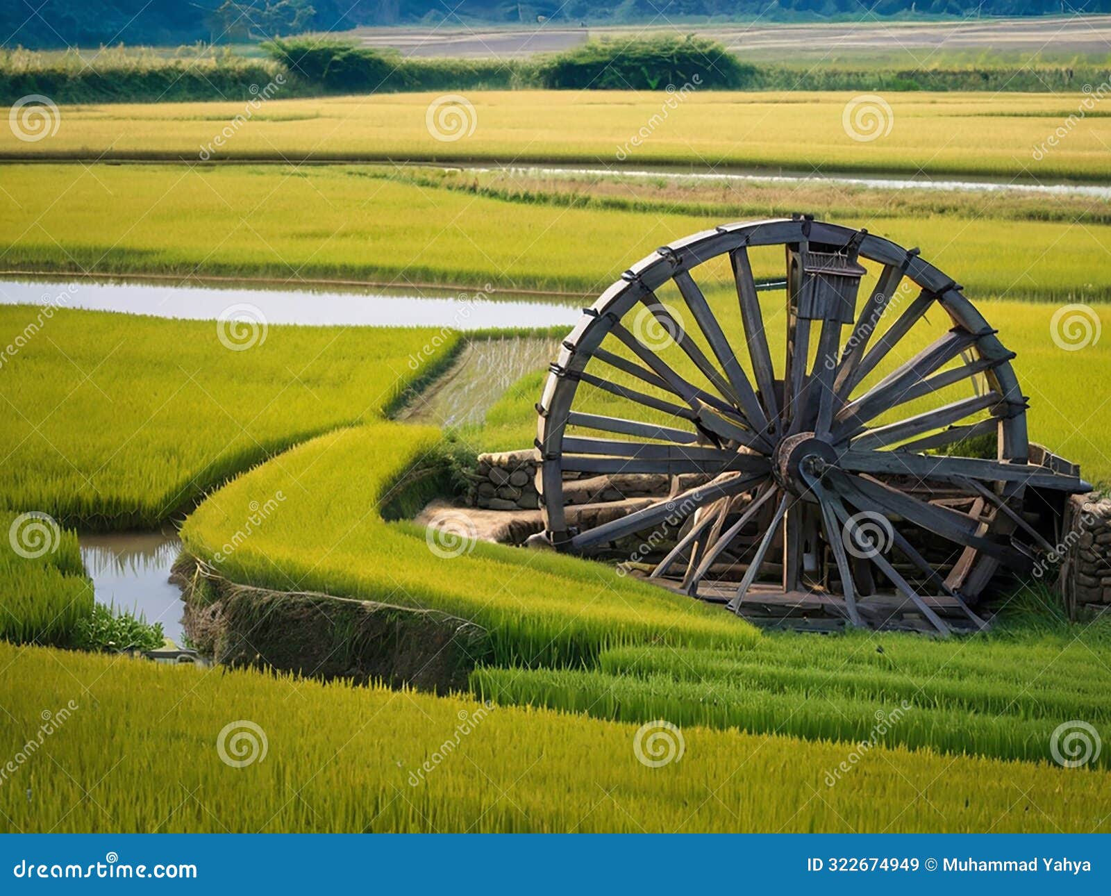 A Water Wheel on a Rice Field Stock Illustration - Illustration of ...