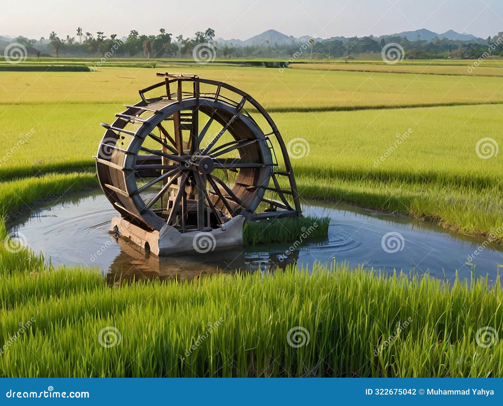A Water Wheel on a Rice Field Stock Illustration - Illustration of ...