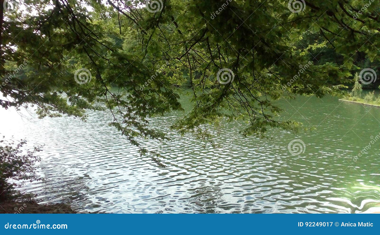Water and wind ripple stock image. Image of park, water - 92249017