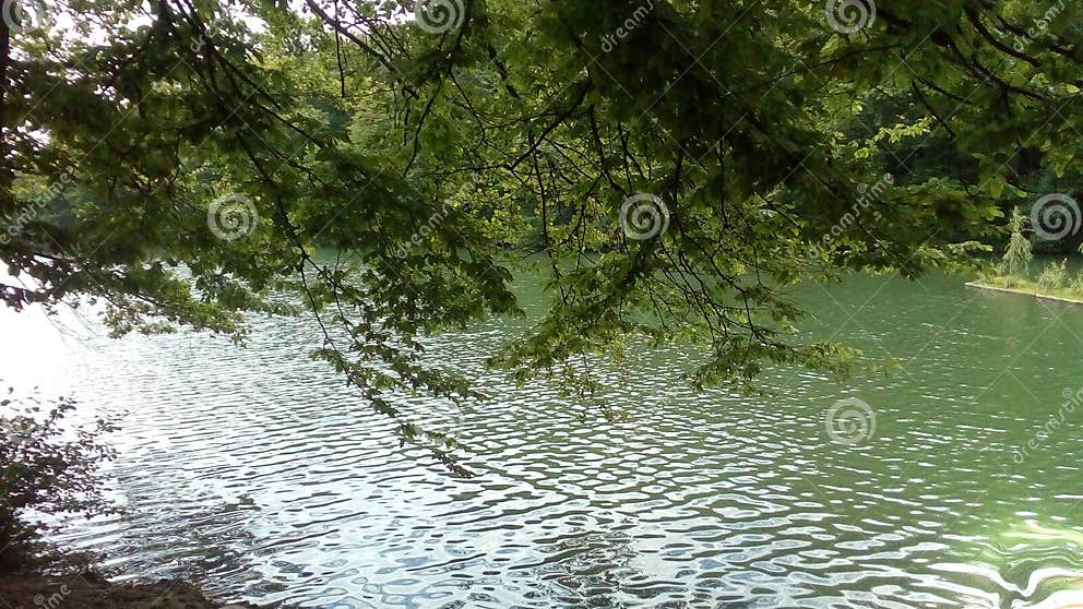 Water and wind ripple stock image. Image of park, water - 92249017