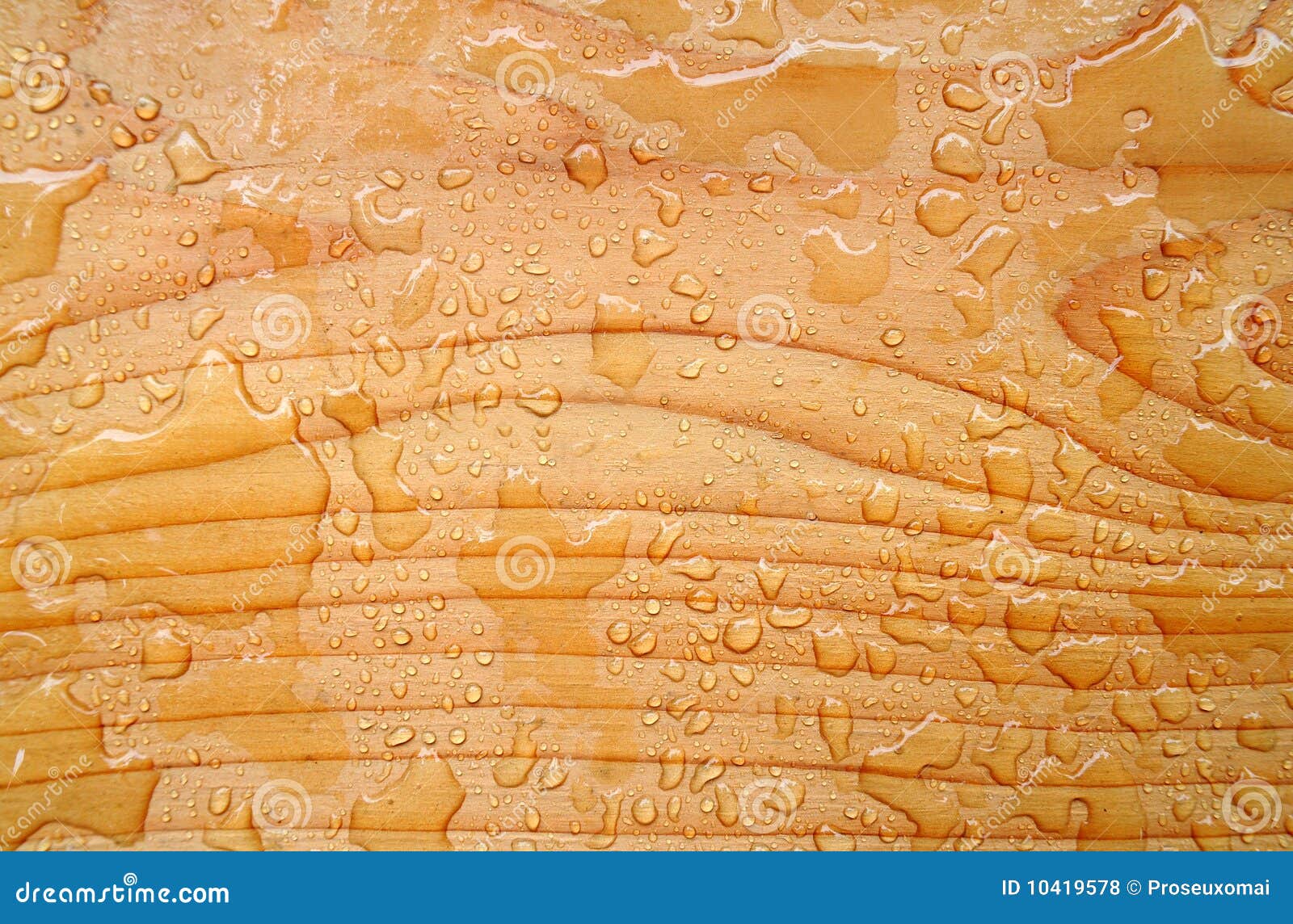 Water and Wood Background stock photo. Image of wooden - 10419578