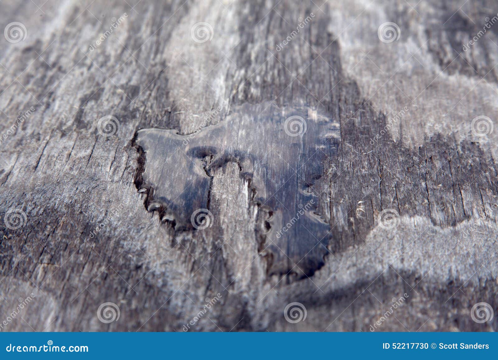 Water on Wood stock photo. Image of wood, wooden, unique - 52217730