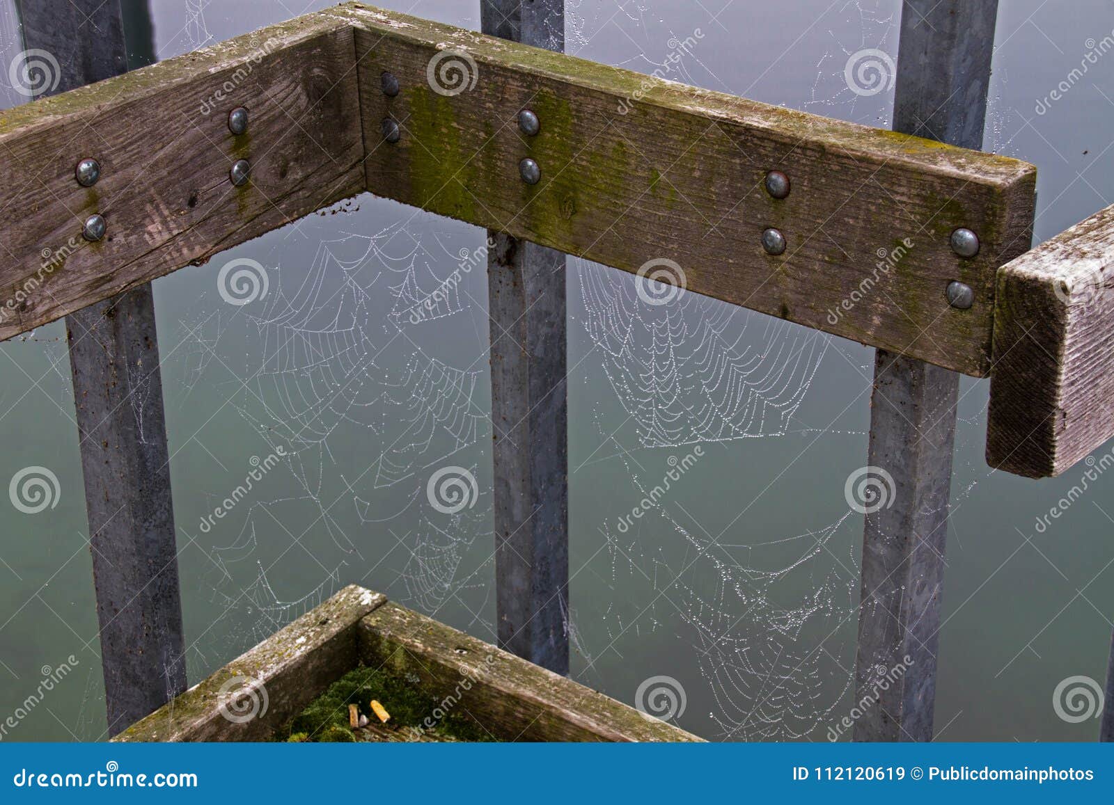 Water, Wood, Tree Picture. Image: 112120619