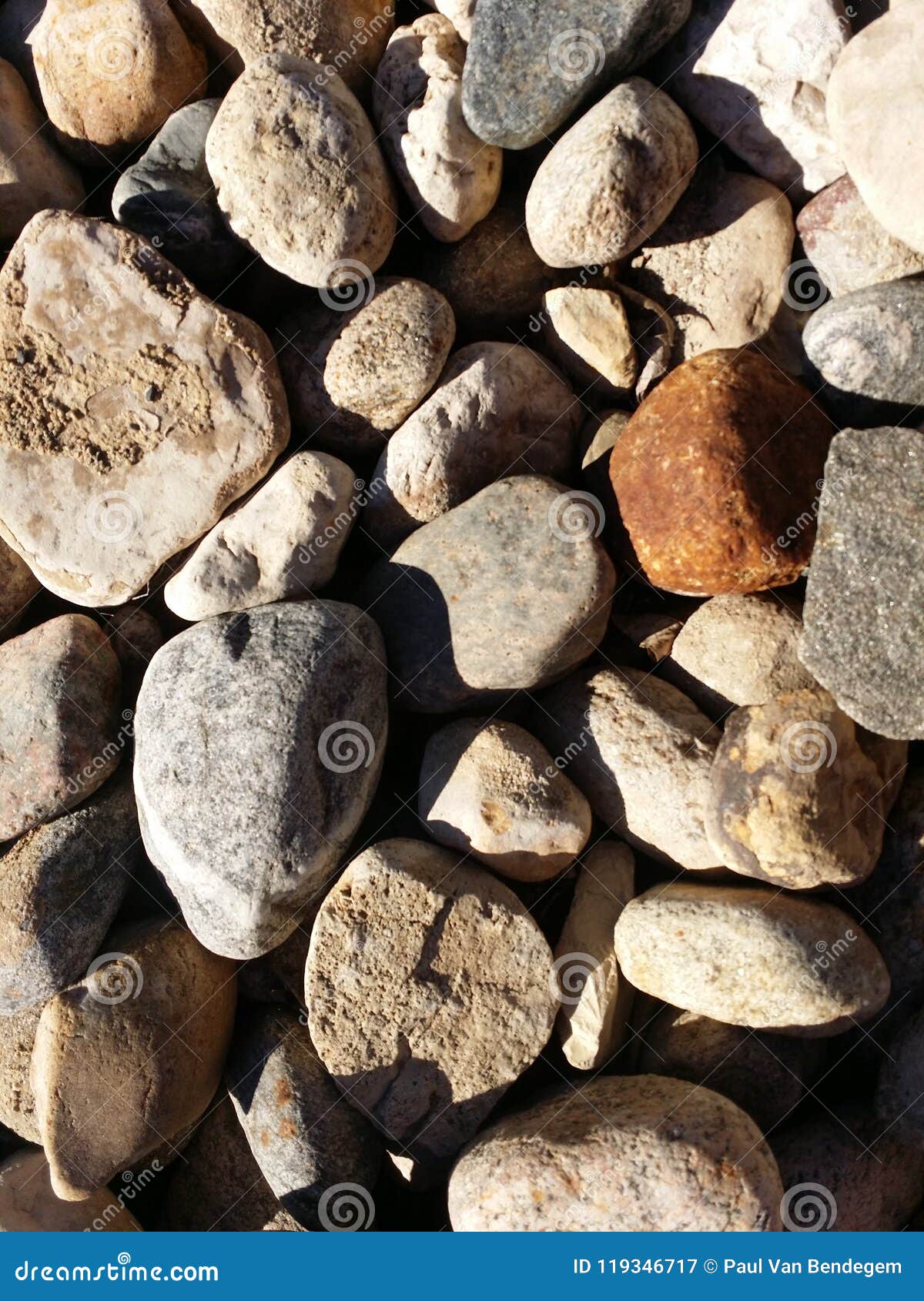 Smooth stones in a garden stock image. Image of water - 119346717