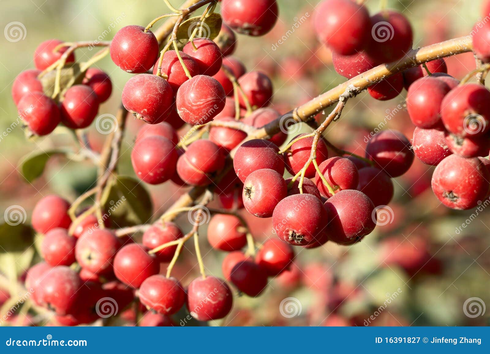 Water Xunzi Stock Photos - Free & Royalty-Free Stock Photos from Dreamstime