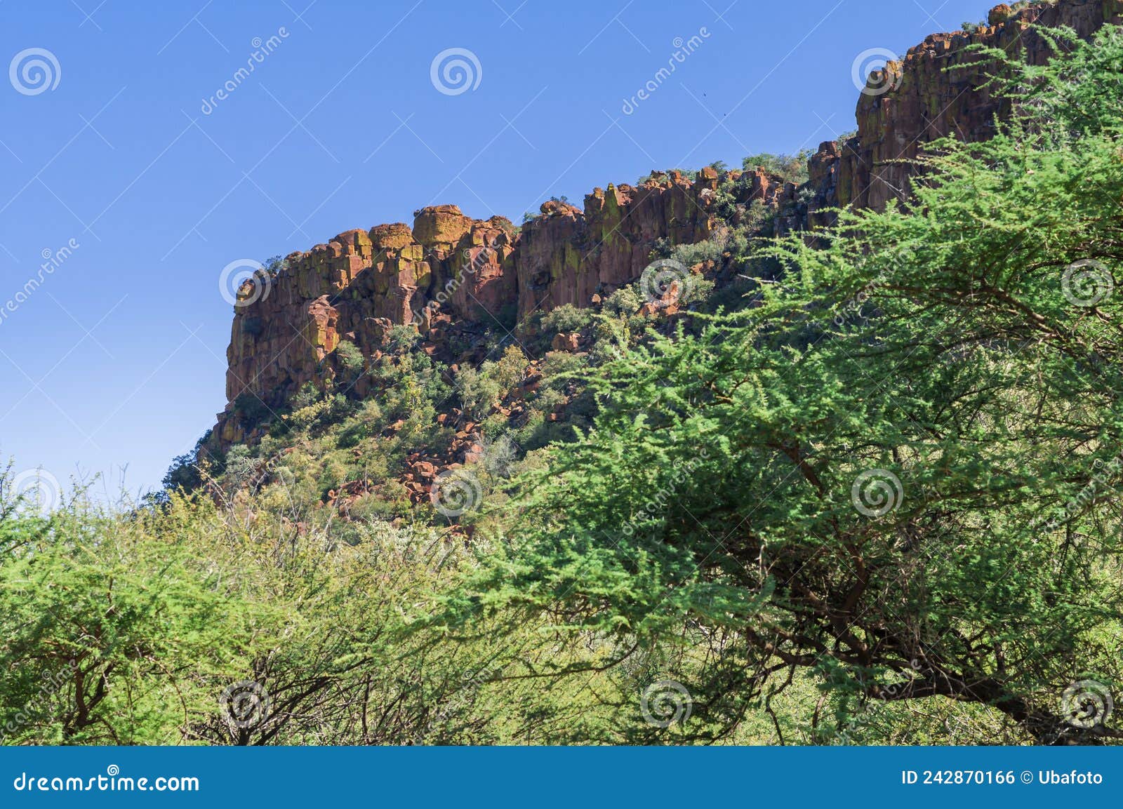 Waterberg Plateau Park stock photo. Image of outdoors - 242870166