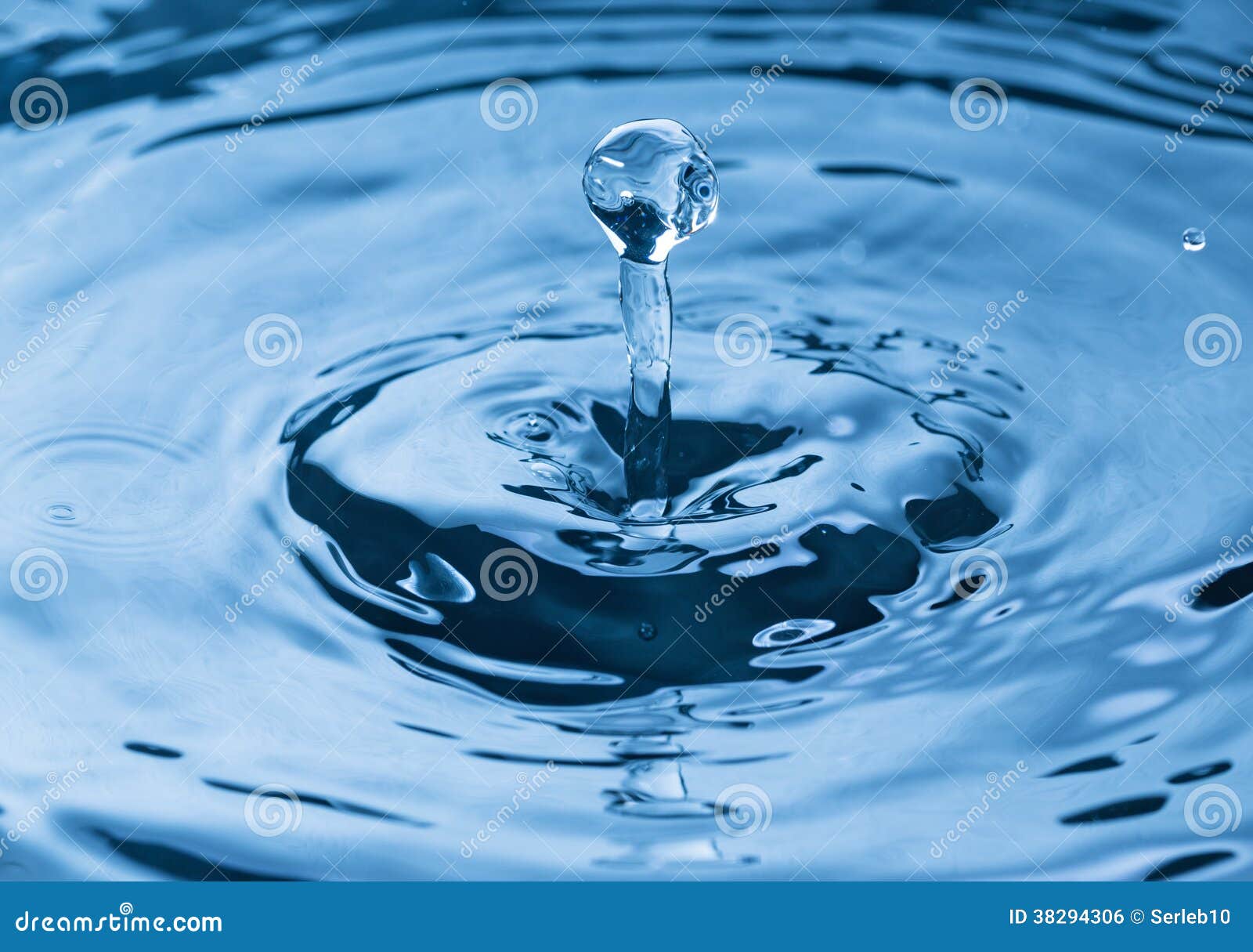 Waterbloem Boven Oppervlakte Stock Foto - Image of hierboven, schoon ...