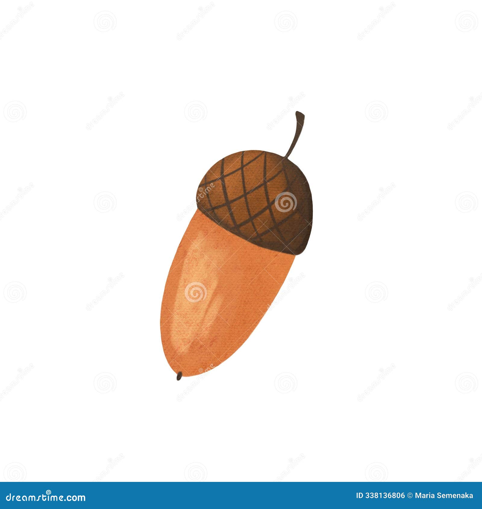 Watercolor Acorn Isolated on a White Background. Acorn in a Simple ...