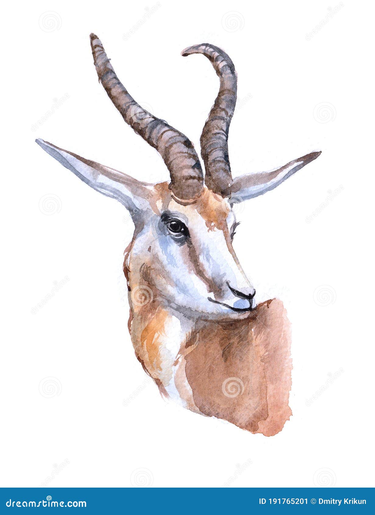 Antelope Animal Coloring Pages Cartoon Royalty-Free Illustration ...
