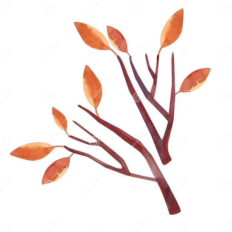 Watercolor Autumn Tree With Orange Leaves Isolated Illustration