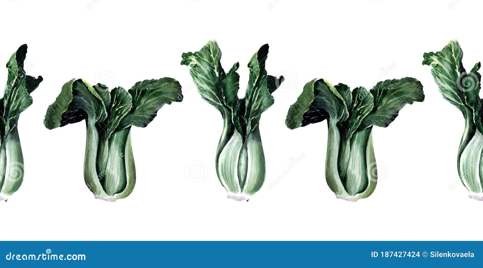Watercolor Seamless Border with Different Types of Cabbage. Brussels ...