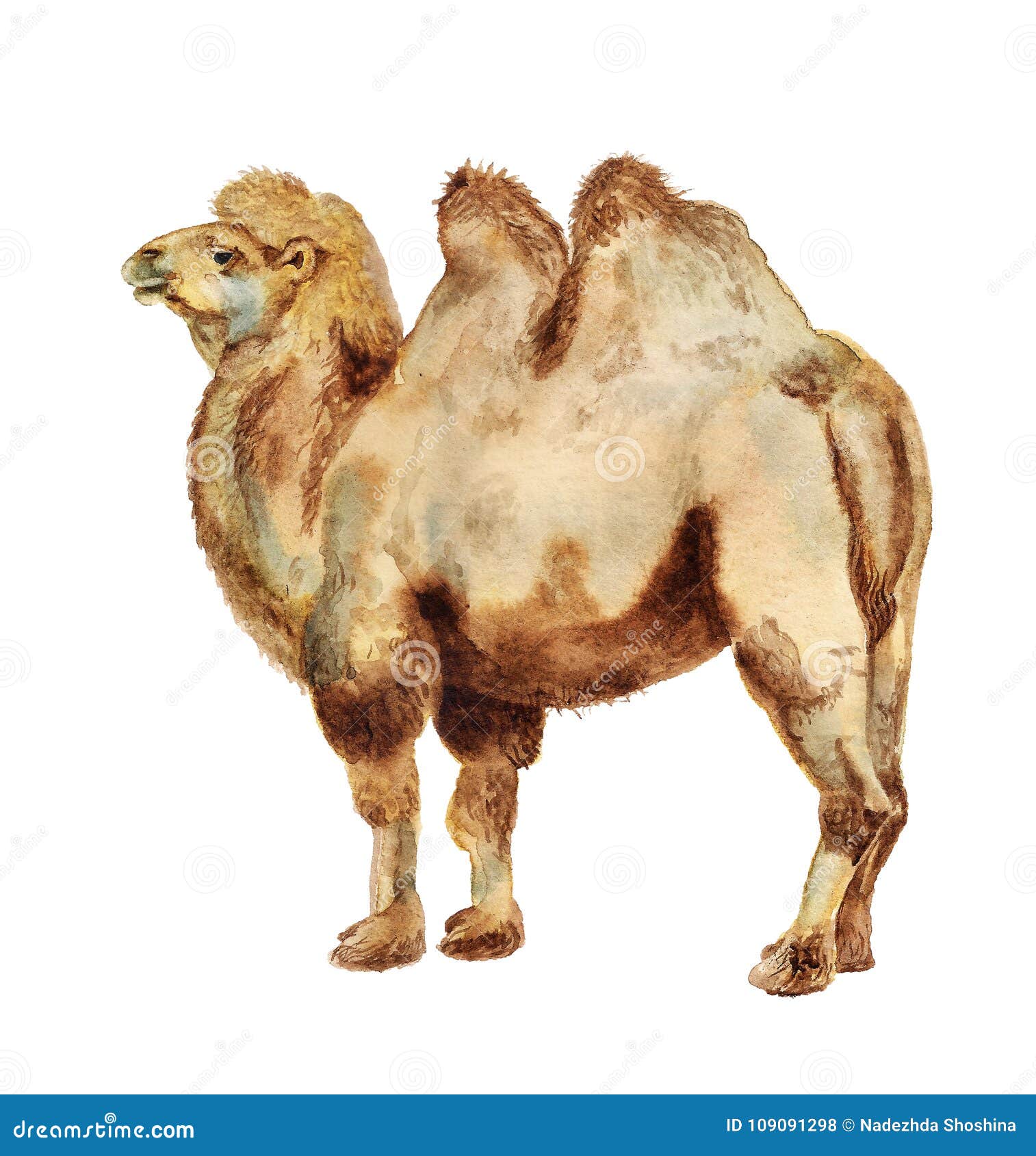 Bactrian Camel Indian. Camel With A Pattern Of Berries And Fruit ...
