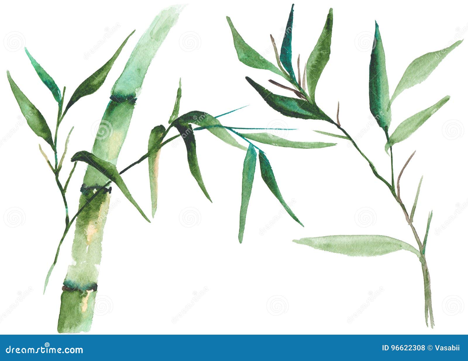 Watercolor Bamboo Illustration Stock Illustration - Illustration of ...