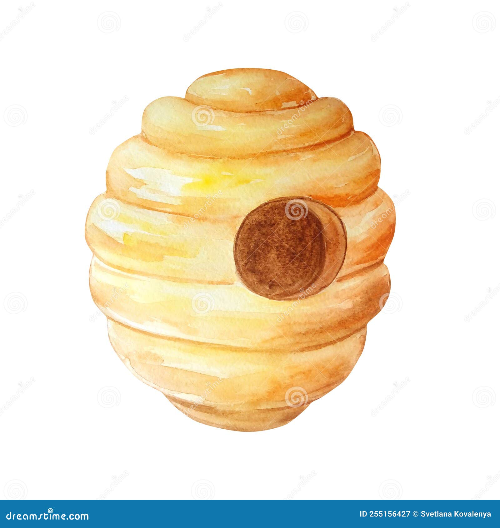 Watercolor Beehive Cocoon Insect Stock Image - Image of white, cocoon ...