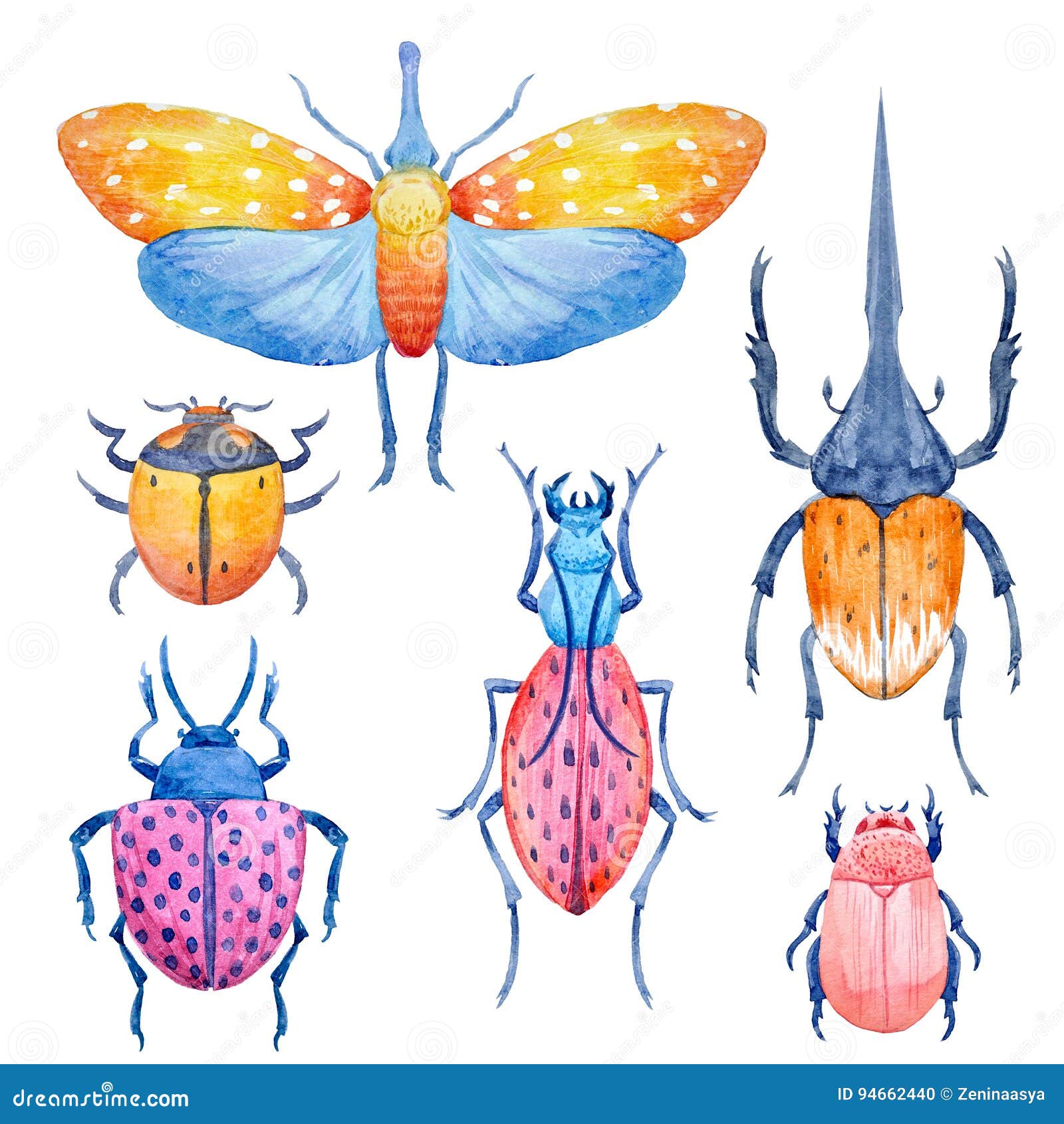 Watercolor Set Of Insects, Ladybugs, Bedbugs, Beetles With Leaves On A ...