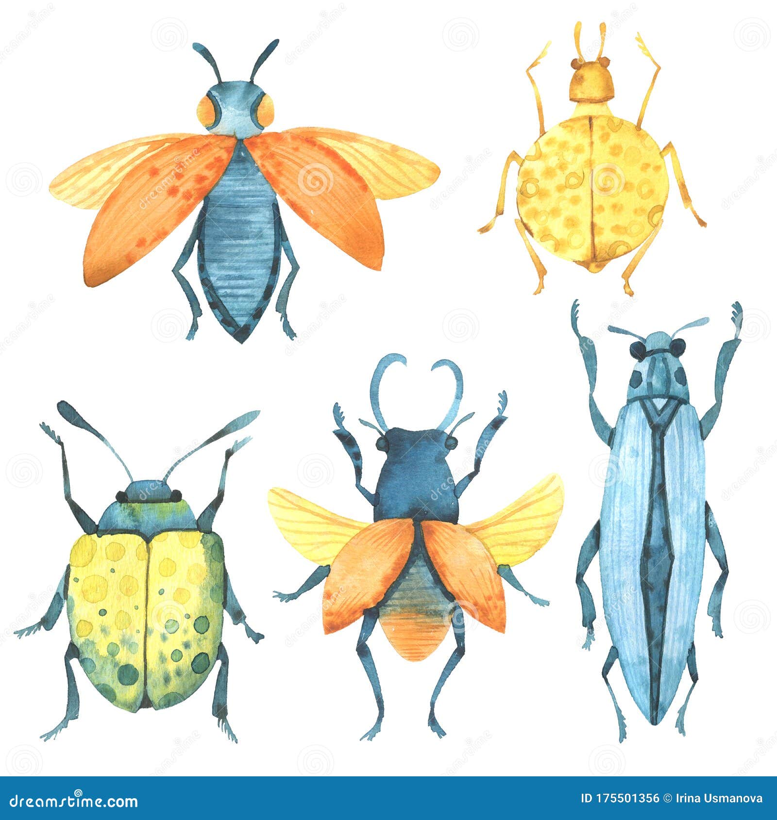 Watercolor Beetles. Colorful Bugs Stock Illustration - Illustration of ...