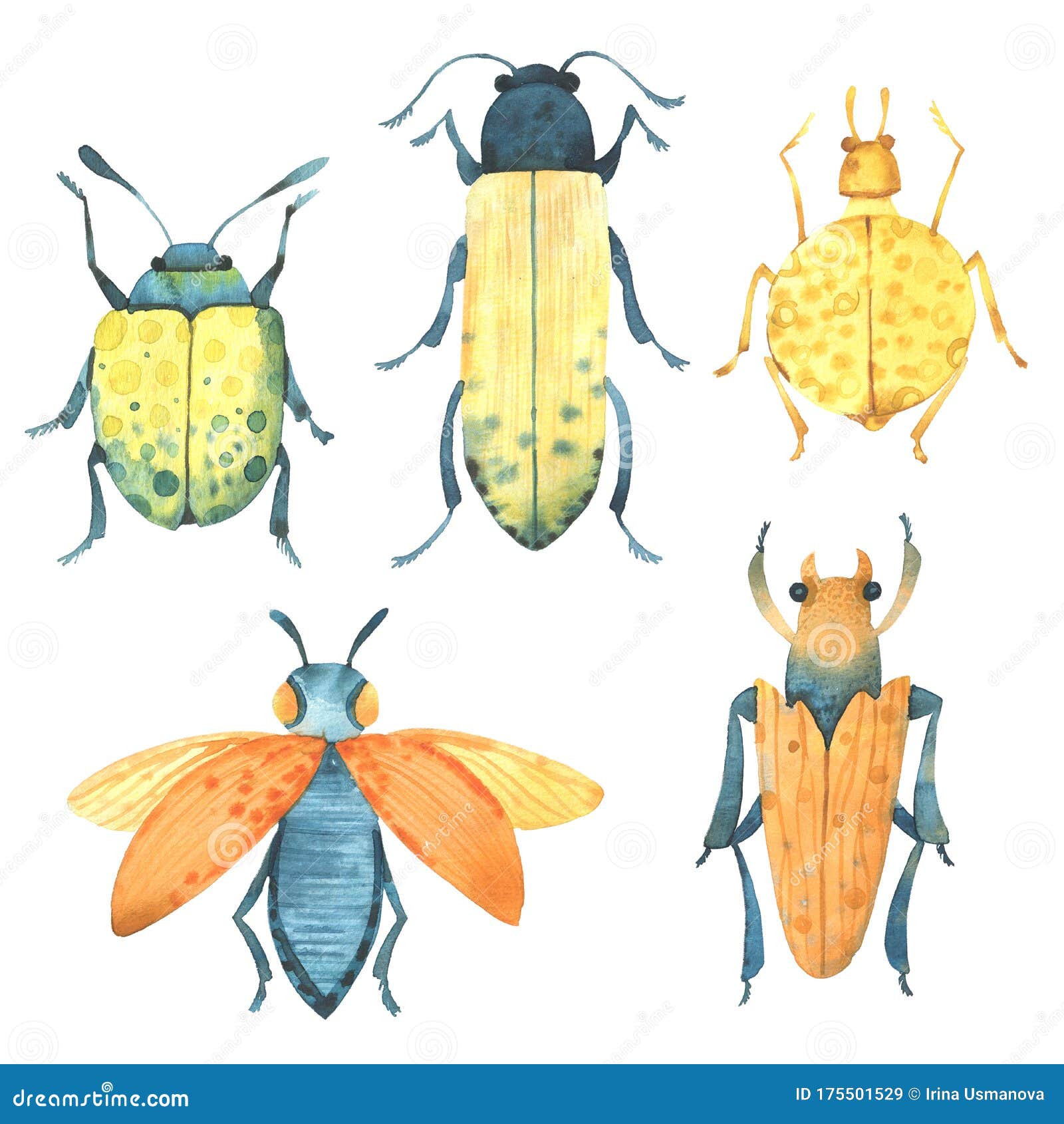 Watercolor Beetles. Colorful Bugs Stock Illustration - Illustration of ...