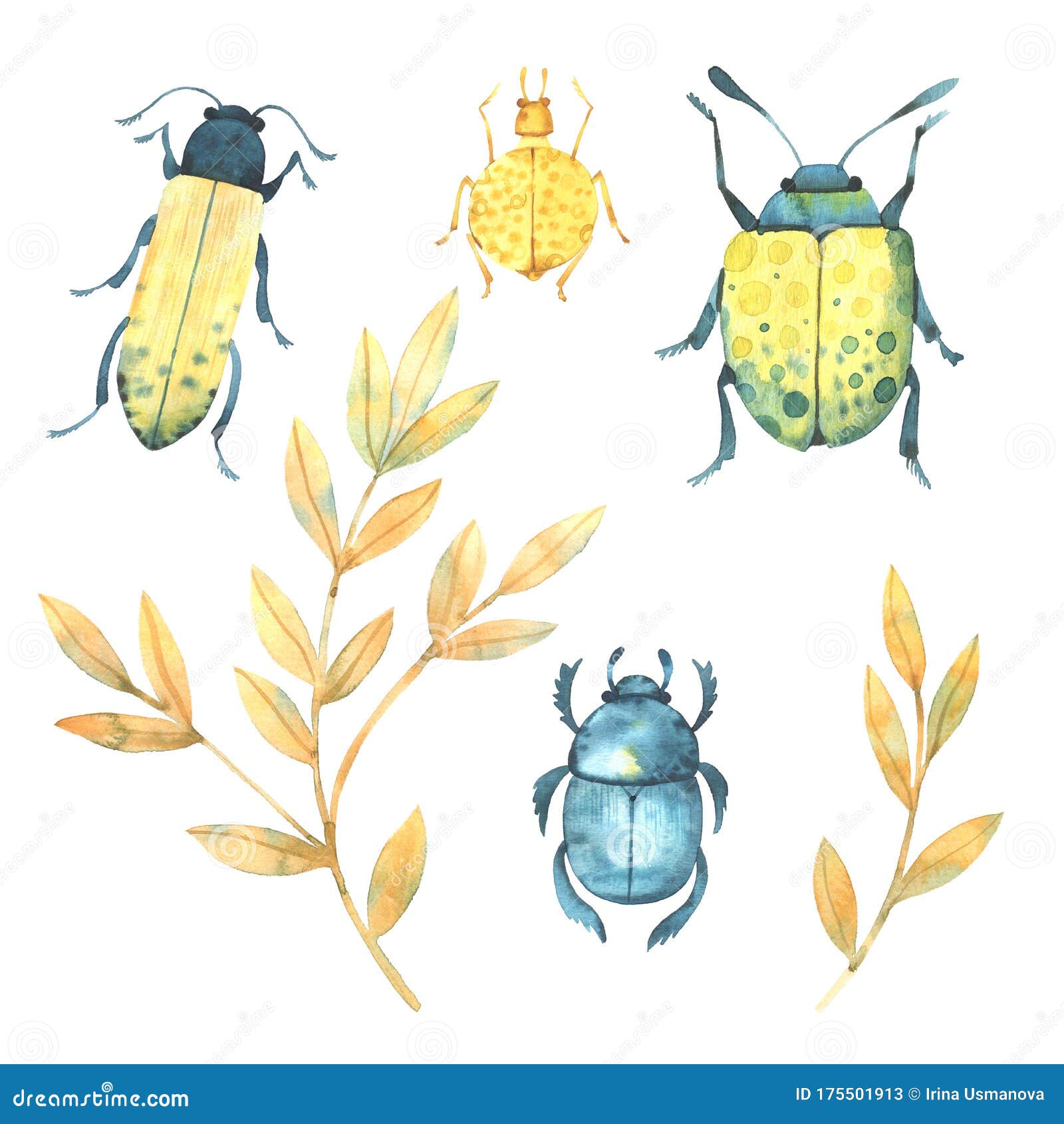 Watercolor Beetles. Colorful Bugs Stock Illustration - Illustration of ...