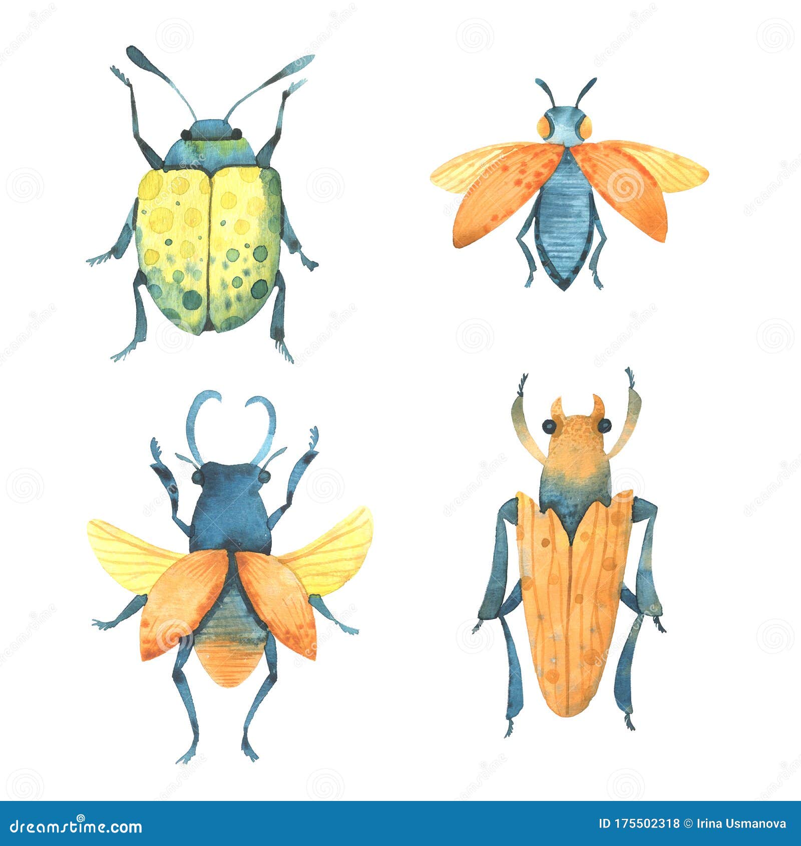 Watercolor Beetles. Colorful Bugs Stock Illustration - Illustration of ...
