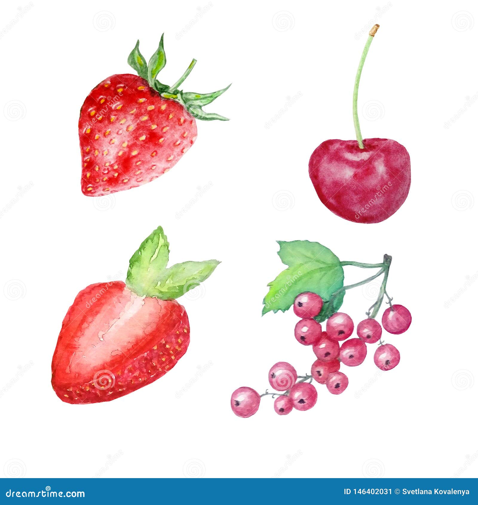 Watercolor berries set stock illustration. Illustration of watercolour ...