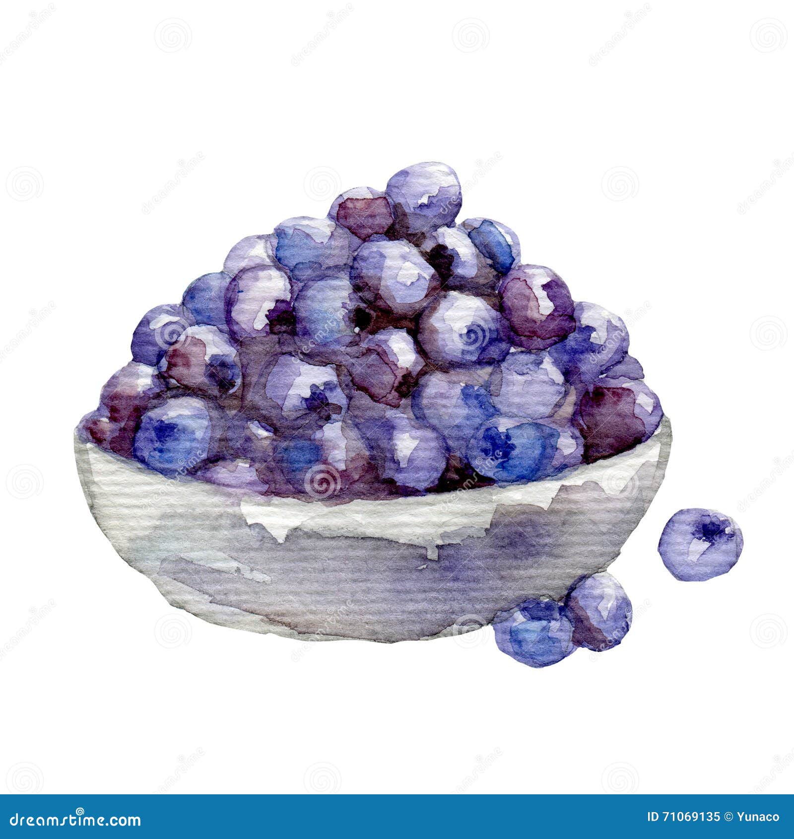 Watercolor. Berry Blueberries Stock Illustration - Illustration of ...