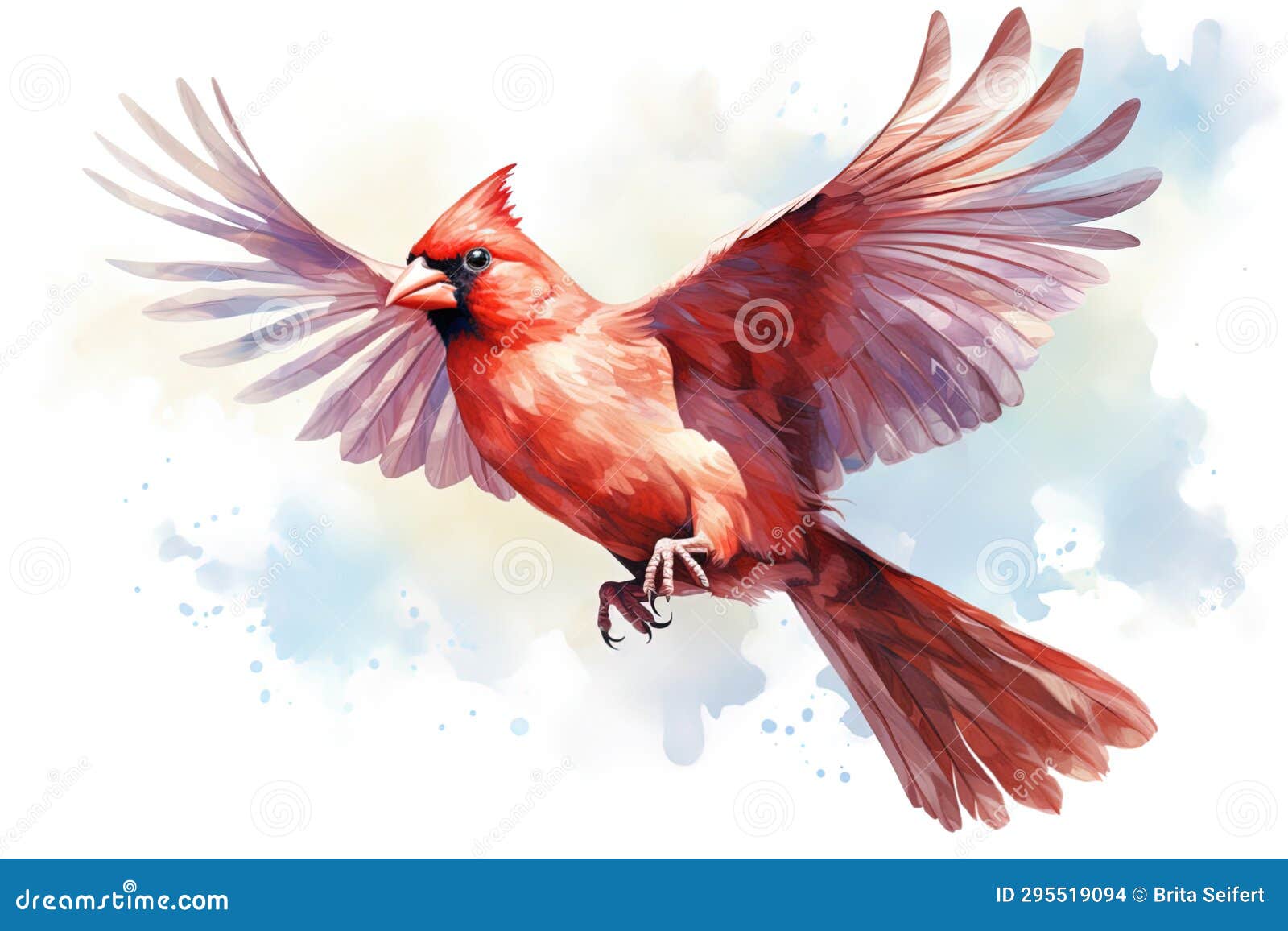 Flying Cardinal Cartoon | CartoonDealer.com #67075083