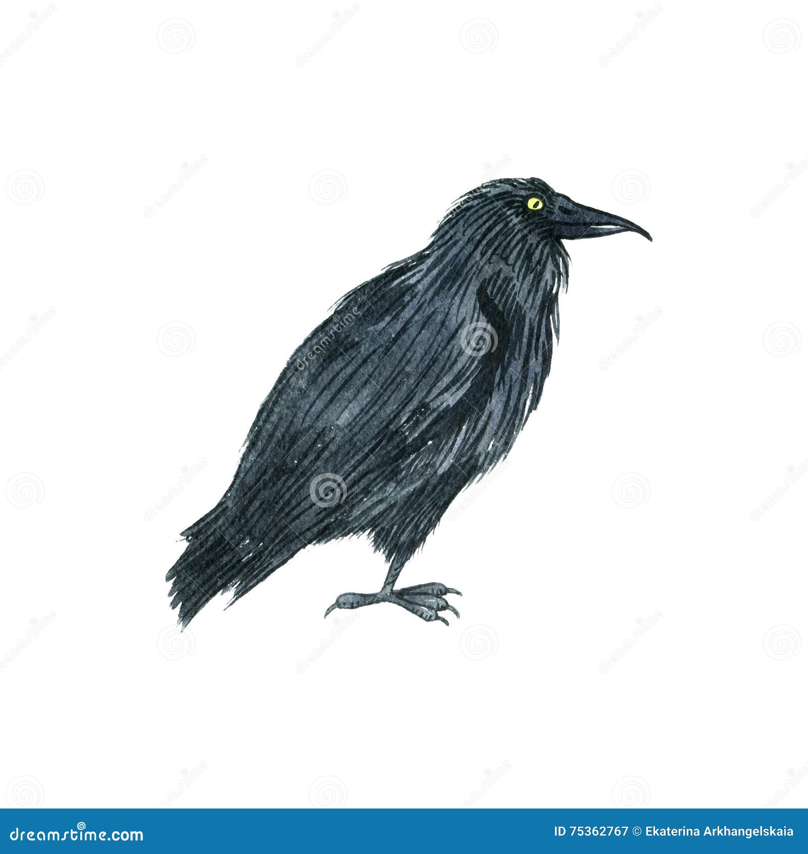 Watercolor black raven stock illustration. Illustration of blackbird ...