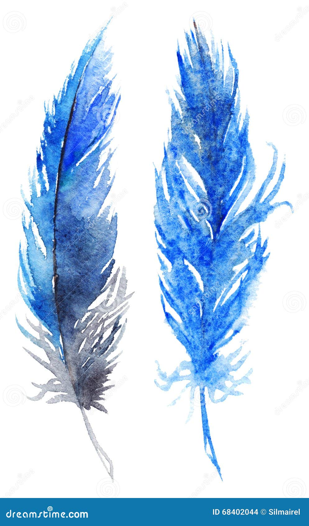 Watercolor Blue Bird Feather Pair Set Stock Illustration - Illustration ...