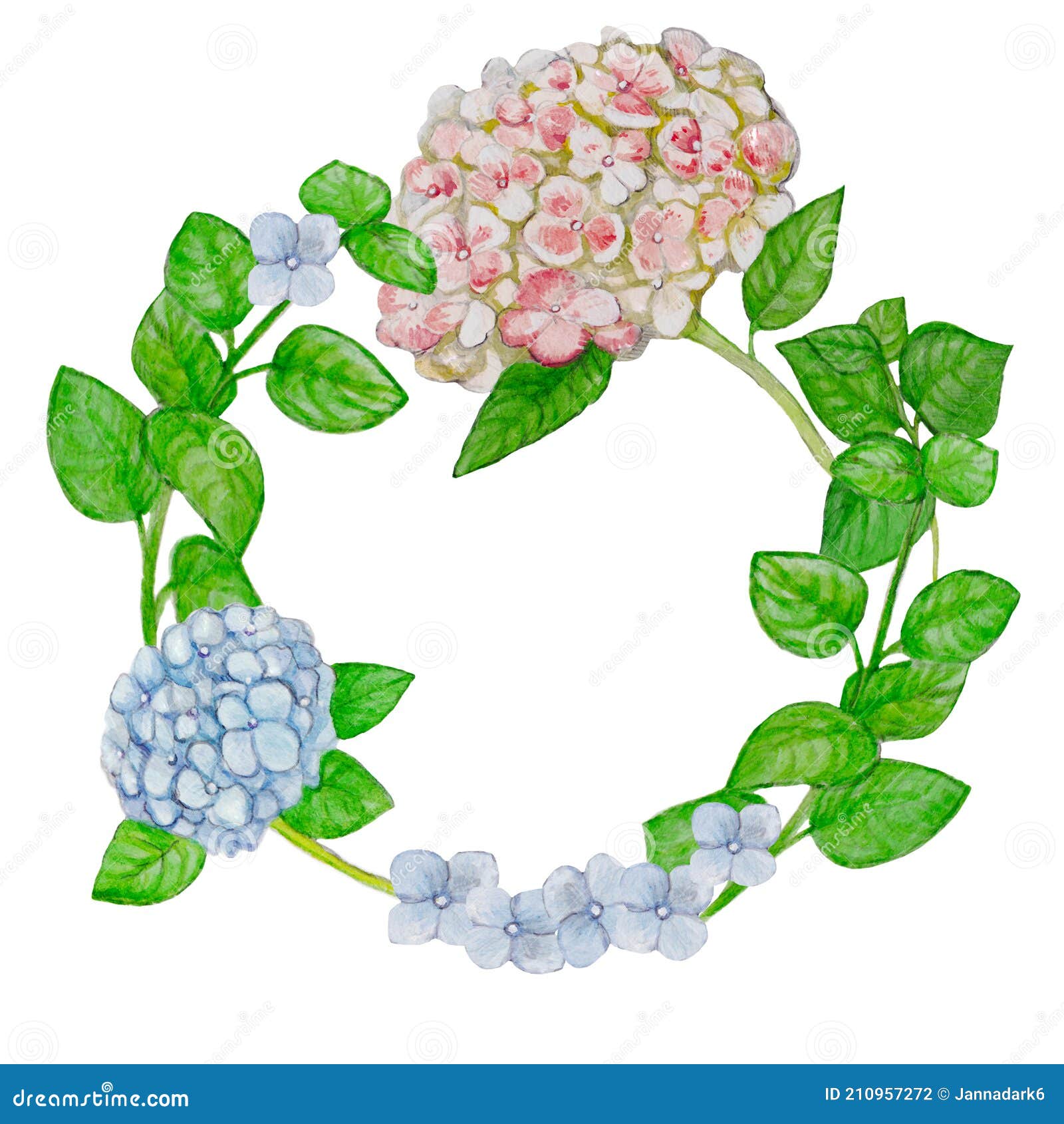 Hydrangea Clipart Borders