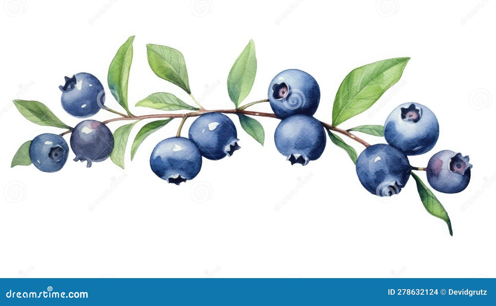 Watercolor Blueberries Isolated on White Background. Generative AI ...