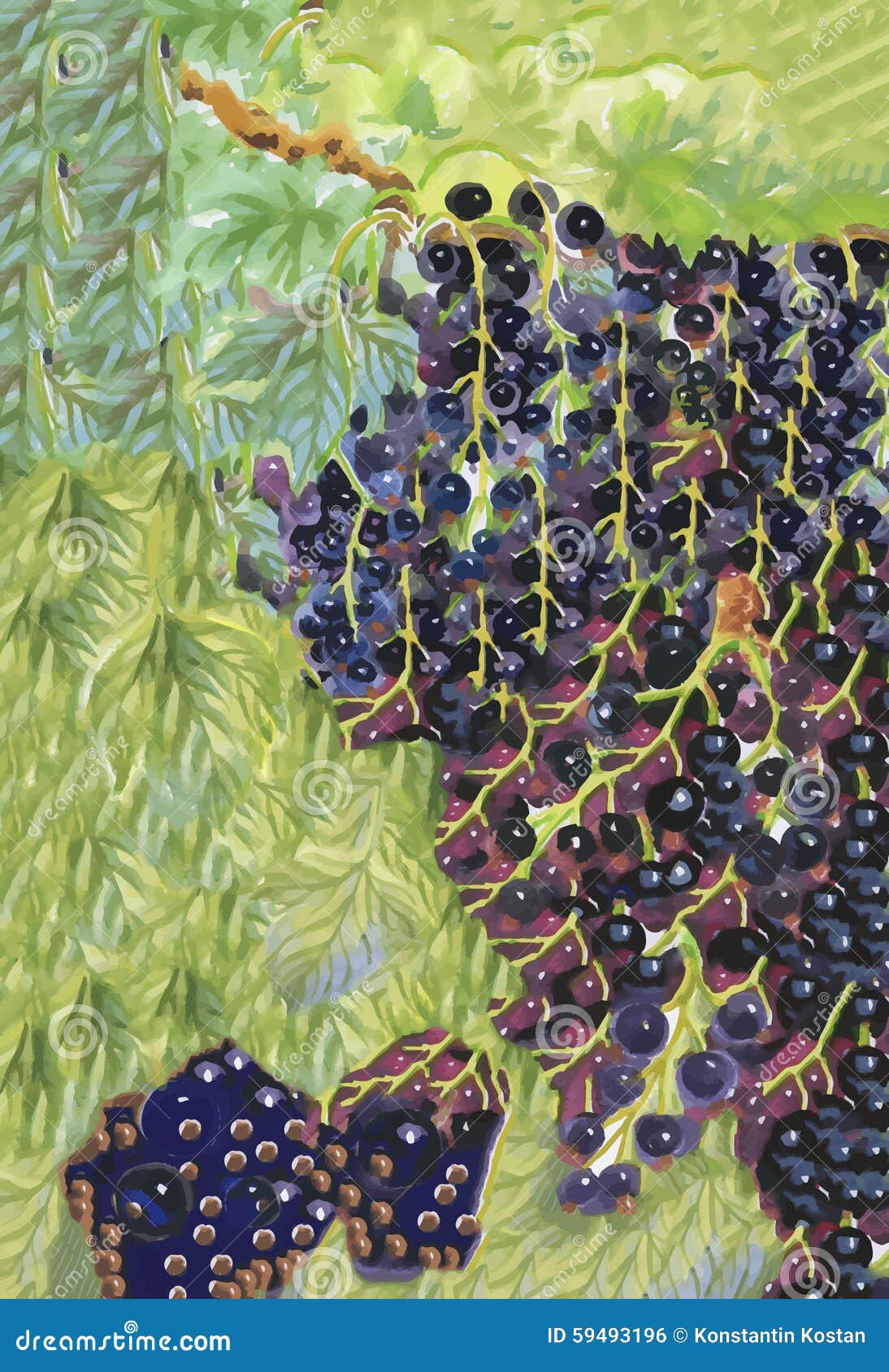 Watercolor Blueberry Abstract Background Stock Vector - Illustration of ...