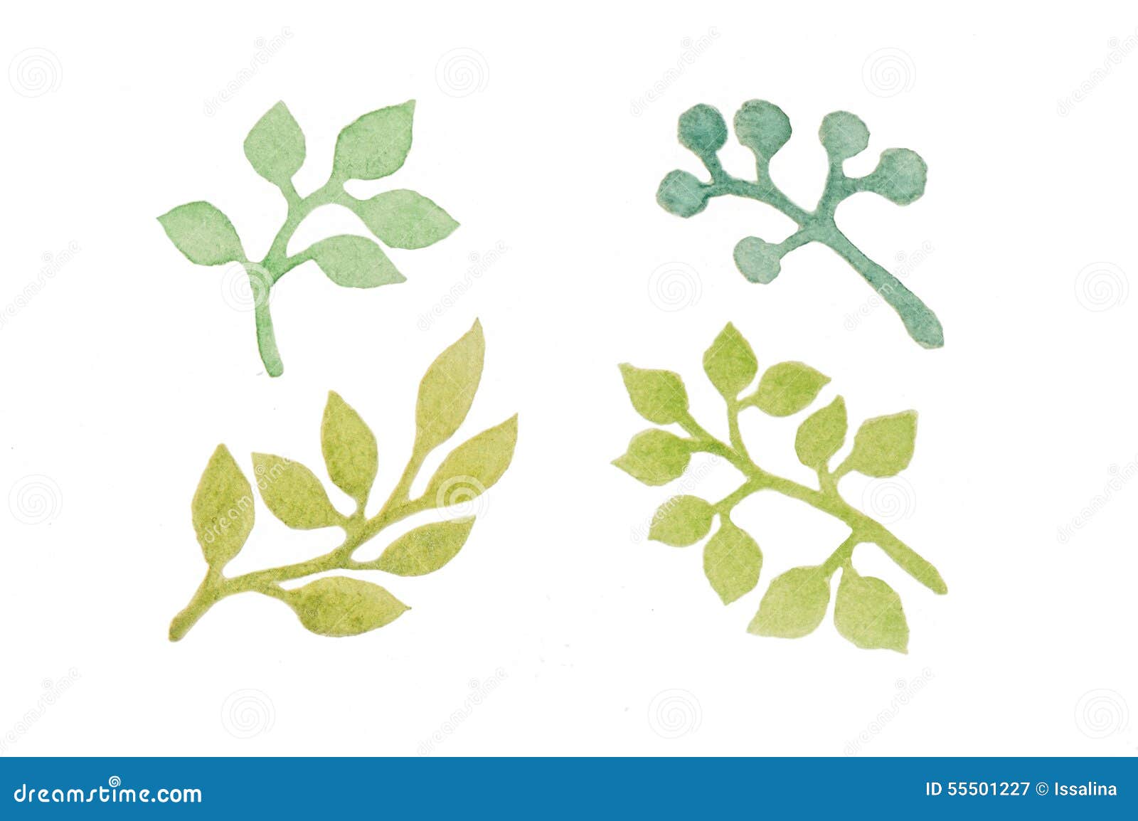 Watercolor Botanic Elements Stock Illustration - Illustration of design ...