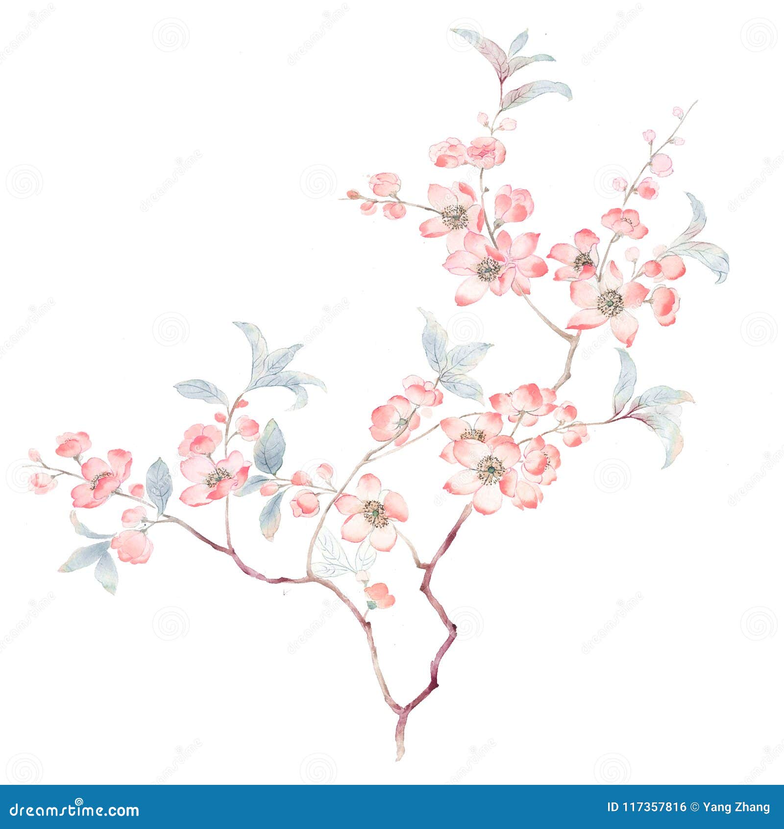 Watercolor Branches and Flowers Watercolor Branches and Flowers Stock ...