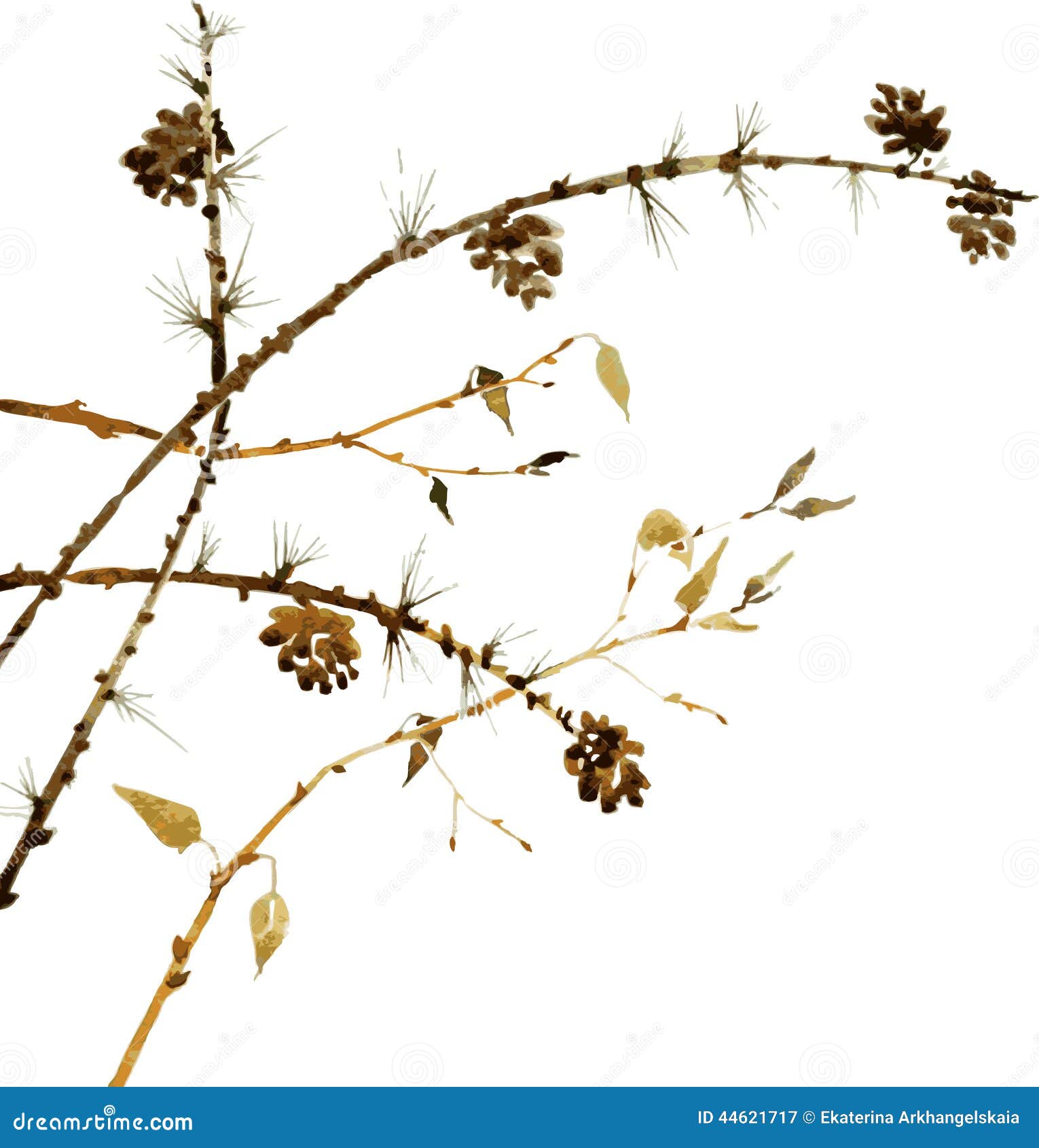 Watercolor Branches of Larch Stock Vector - Illustration of element ...