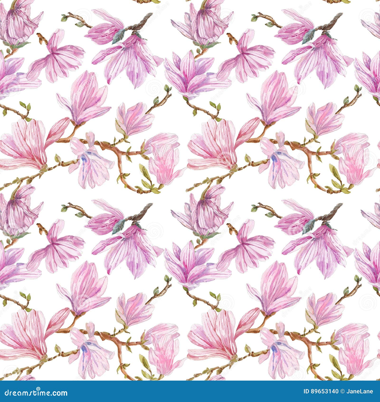Watercolor Branches of Magnolia,seamless Pattern Stock Illustration ...