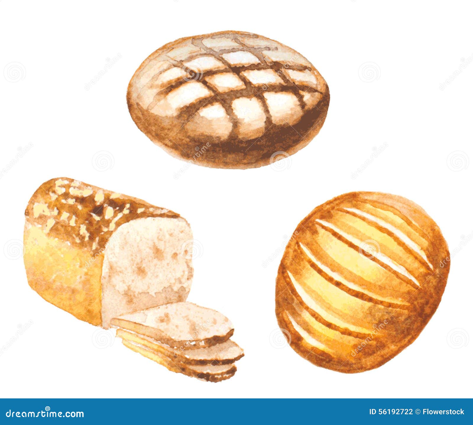 Watercolor bread set stock vector. Illustration of collection - 56192722