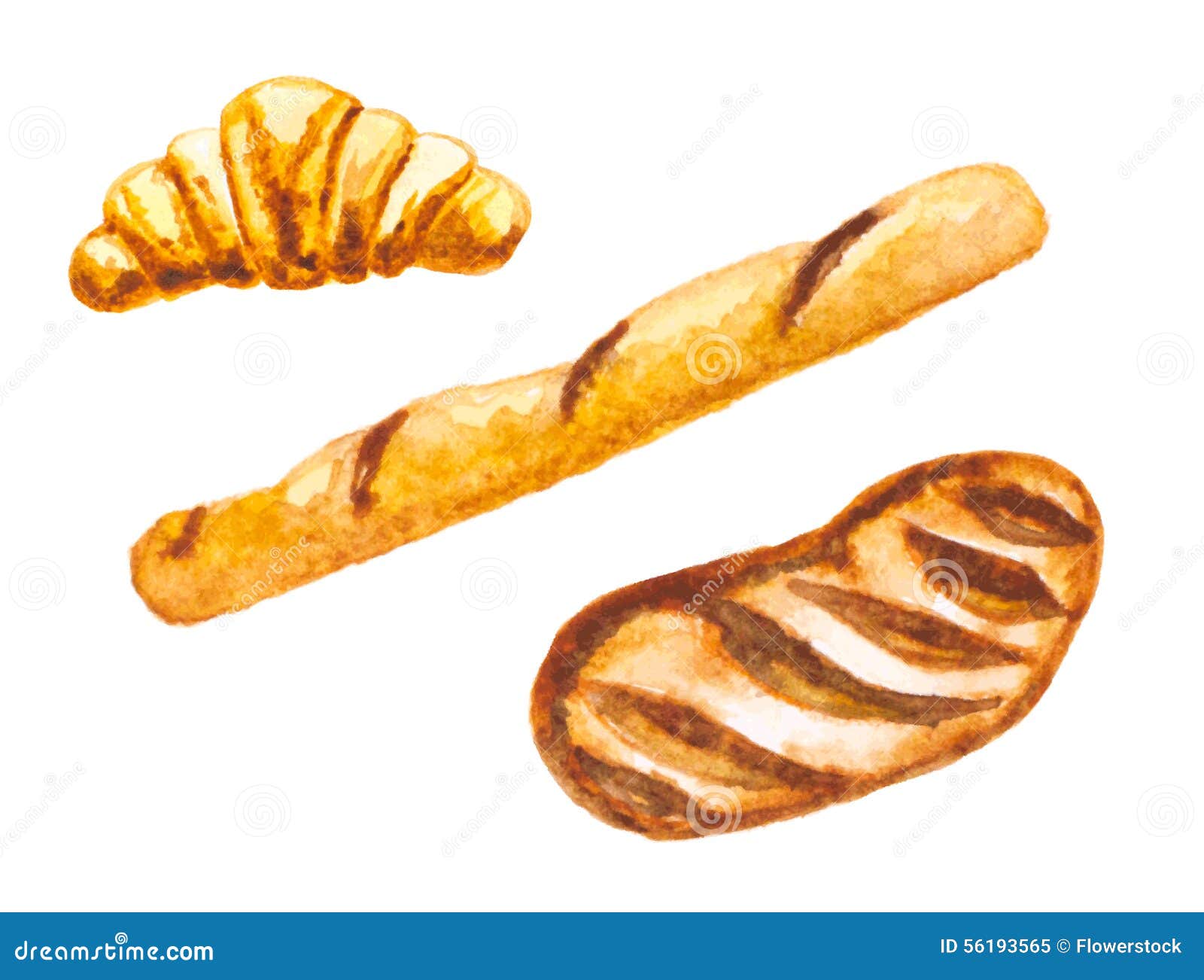 Watercolor bread set stock vector. Illustration of breakfast - 56193565